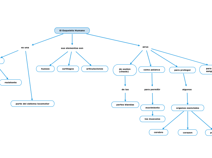 El Esqueleto Humano - Mind Map